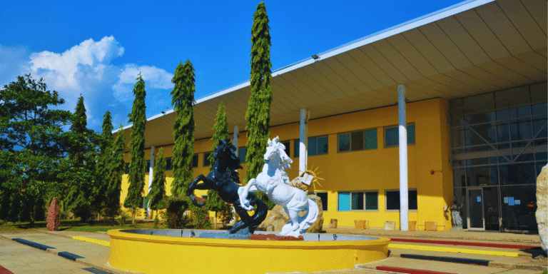 IBS - Enriching Lives through World Class Education, Training & Research
